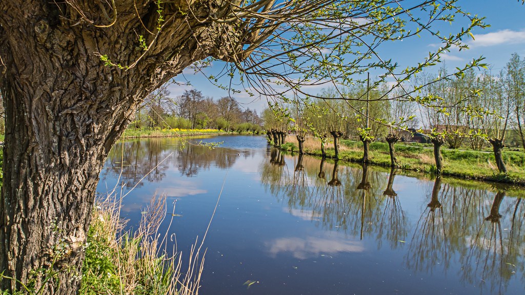 Zorg voor de natuur - Kruiswijk